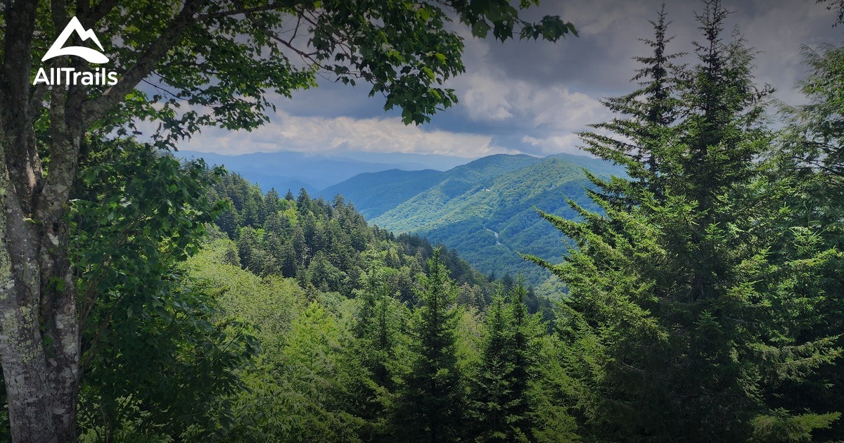 Smoky Mountain ATV Trails | List | AllTrails