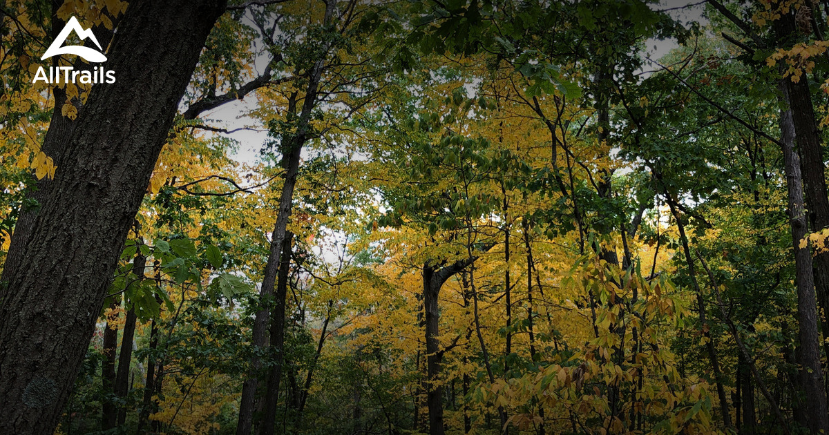 Random Boston Area Trails | List | AllTrails