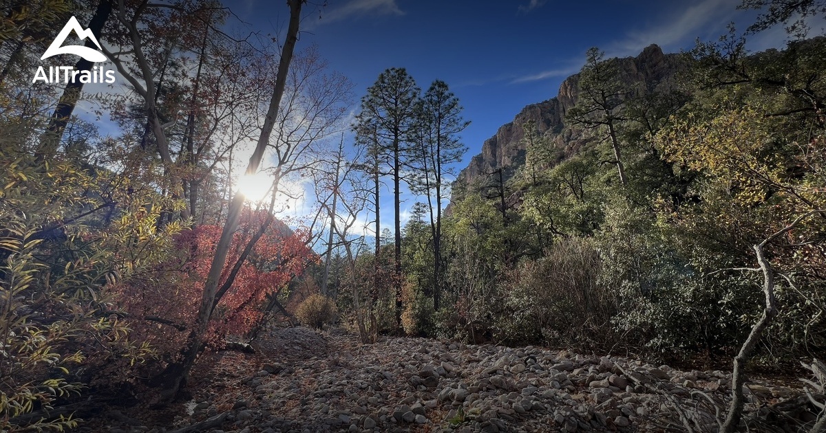 rodeo trip | List | AllTrails