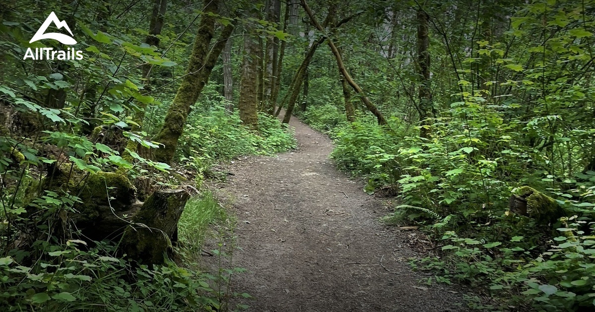 Portland area hikes / dog friendly | List | AllTrails