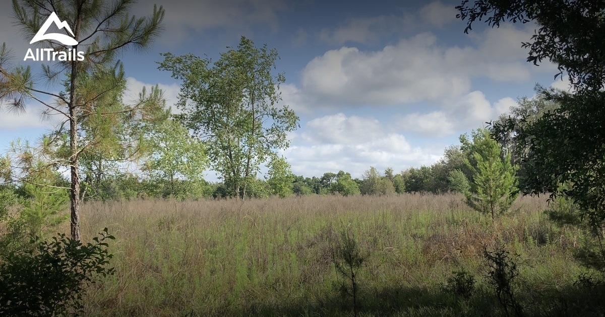 Cub Scout Trails | List | AllTrails