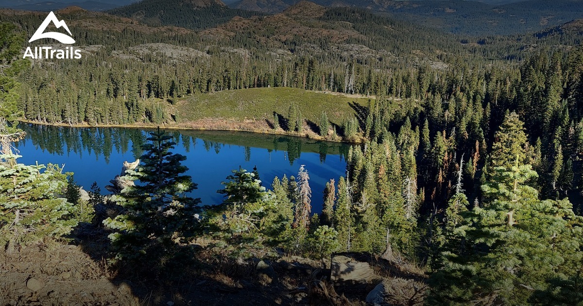 Trails up around Grouse Ridge area | List | AllTrails