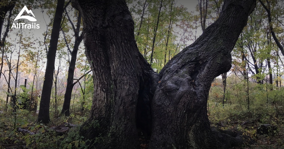 Two Trails in one day! | List | AllTrails