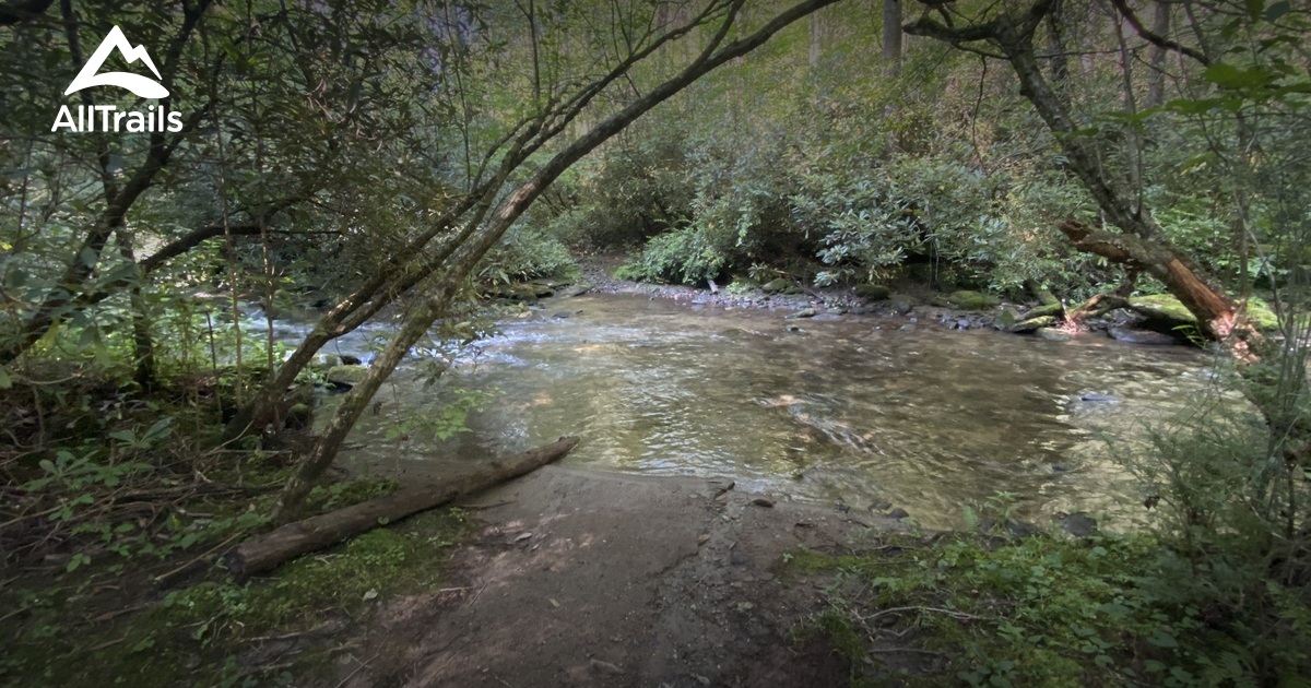 bald creek falls | List | AllTrails
