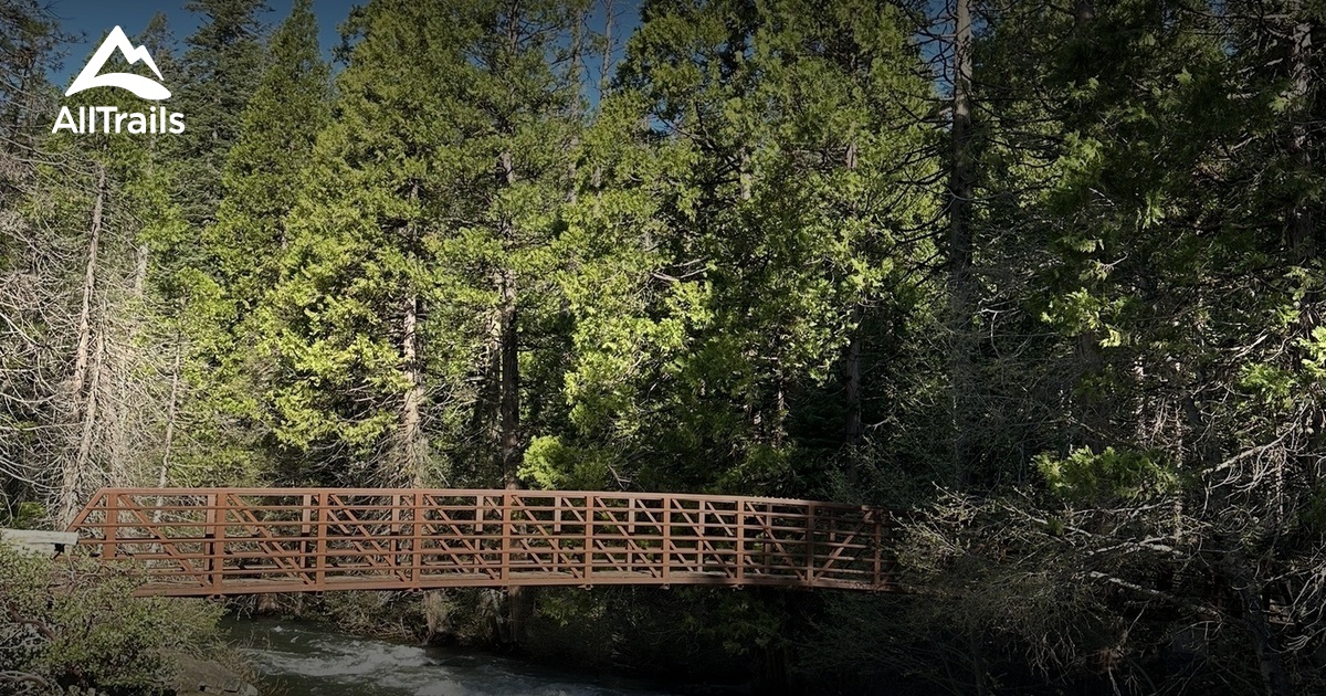 Big Tree National Park | List | AllTrails