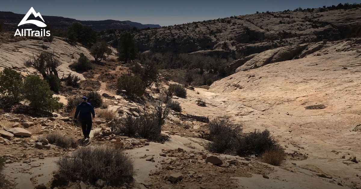 Comb Wash | List | AllTrails