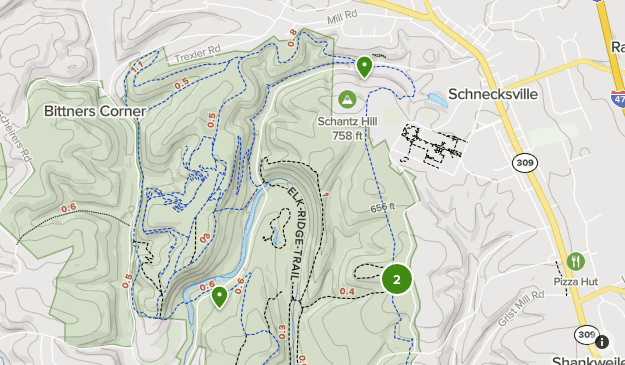 Trexler Preserve | List | AllTrails