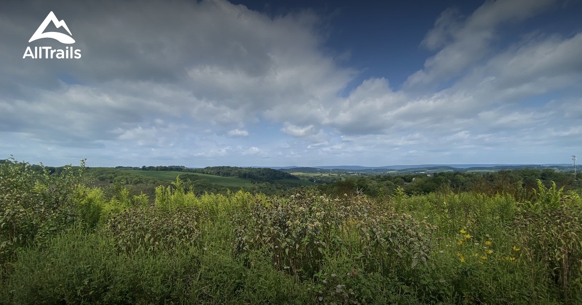 Trexler Preserve | List | AllTrails