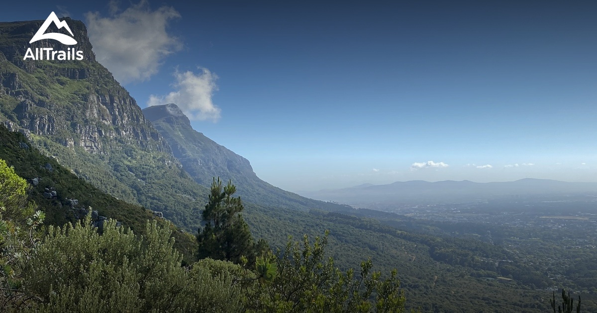 Cape Town afromontane forest | List | AllTrails