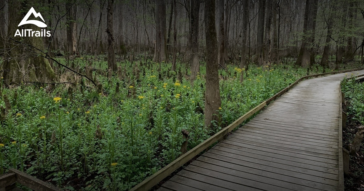 congree national park | List | AllTrails