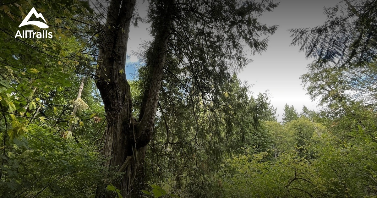 Tolmie State Park park | List | AllTrails