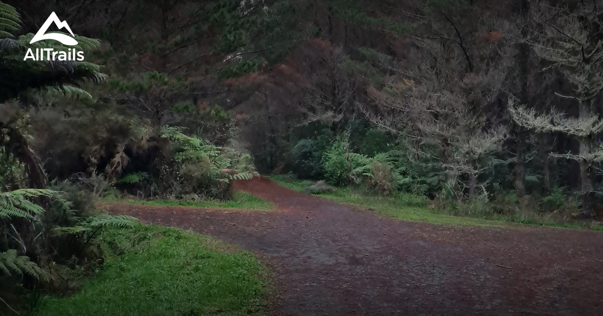 Auckland Track Loops | List | AllTrails