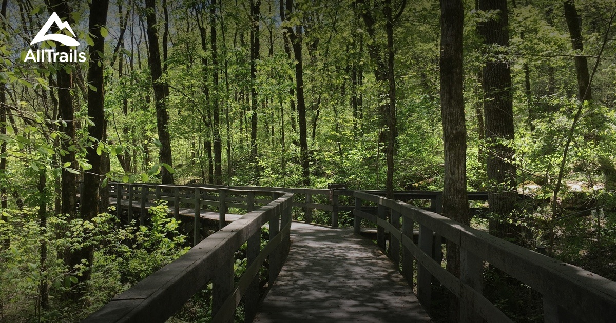 Sunday Traditions | List | AllTrails