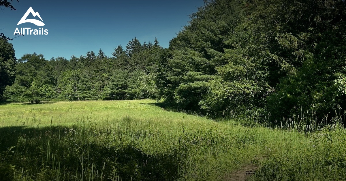 Cub Scout Hike Ideas | List | AllTrails