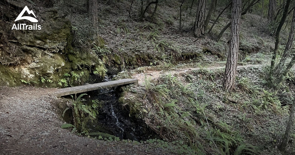 Redwood dog hikes | List | AllTrails