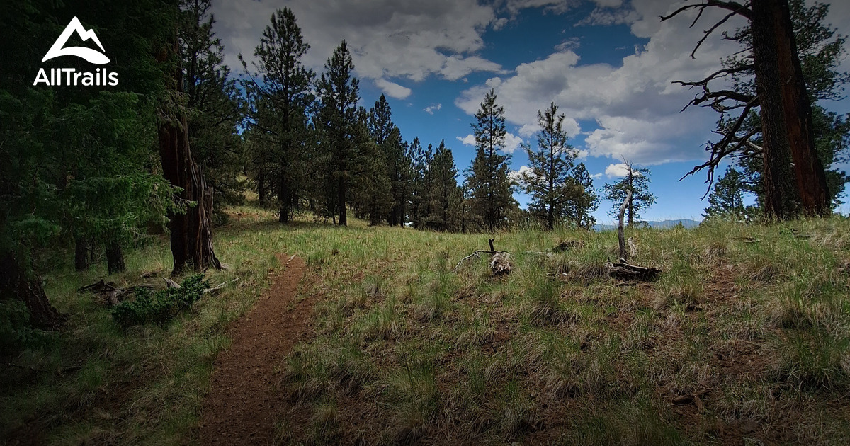 Pinetop | List | AllTrails
