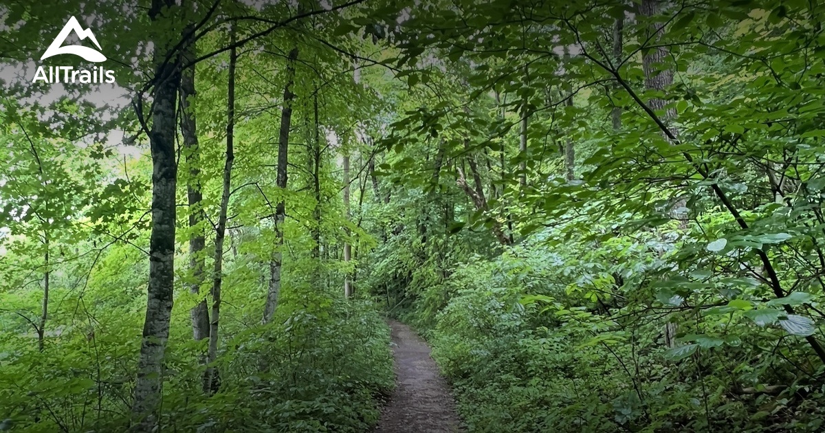 Decorah McGregor | List | AllTrails