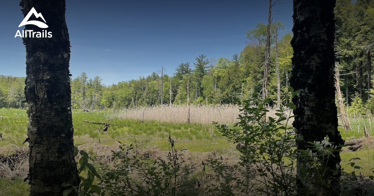 NY - Whitney Point Area | List | AllTrails