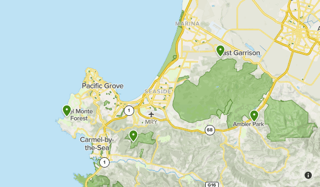 17 mile drive | List | AllTrails