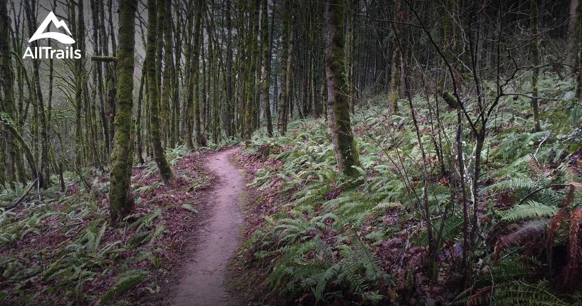 Short hikes around town | List | AllTrails