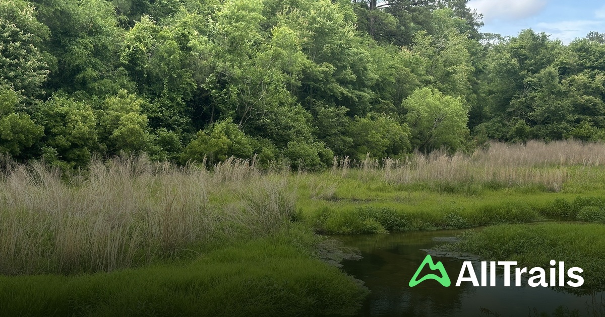 Magnolia Springs State Park | List | AllTrails