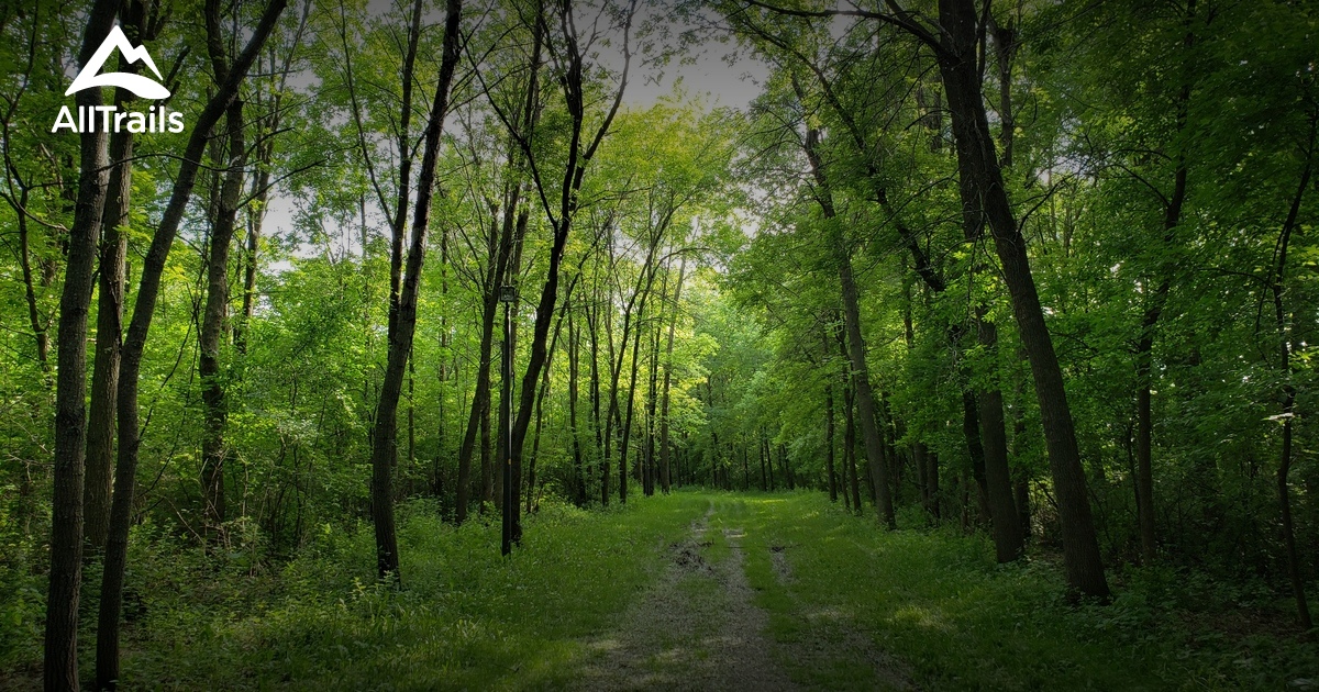 lighted trail | List | AllTrails