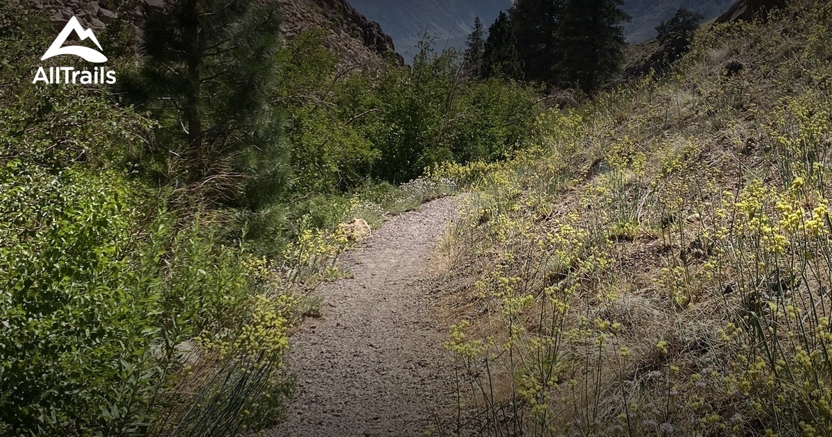 To Do: Inyo National Forest | List | AllTrails