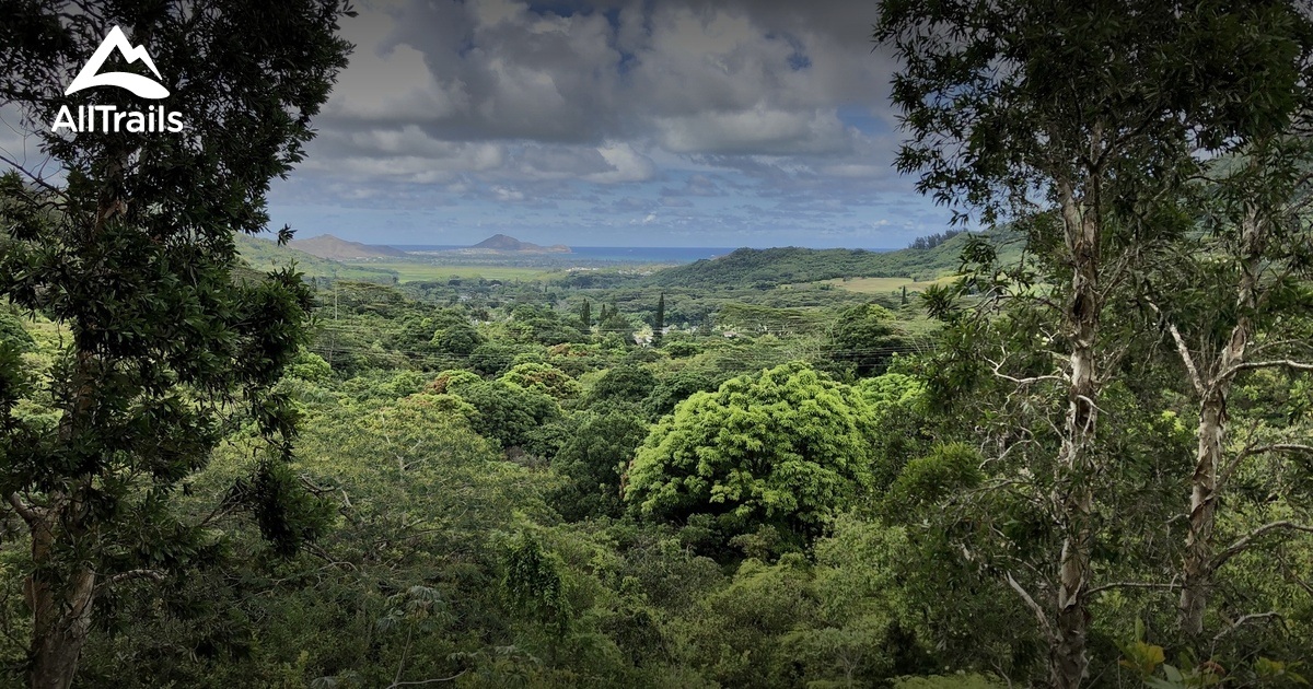 H3 highway area | List | AllTrails