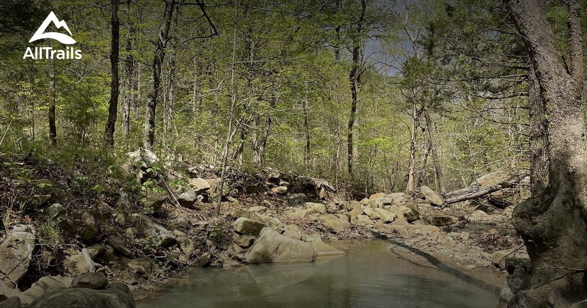 Jaedah’s Adventures | List | AllTrails