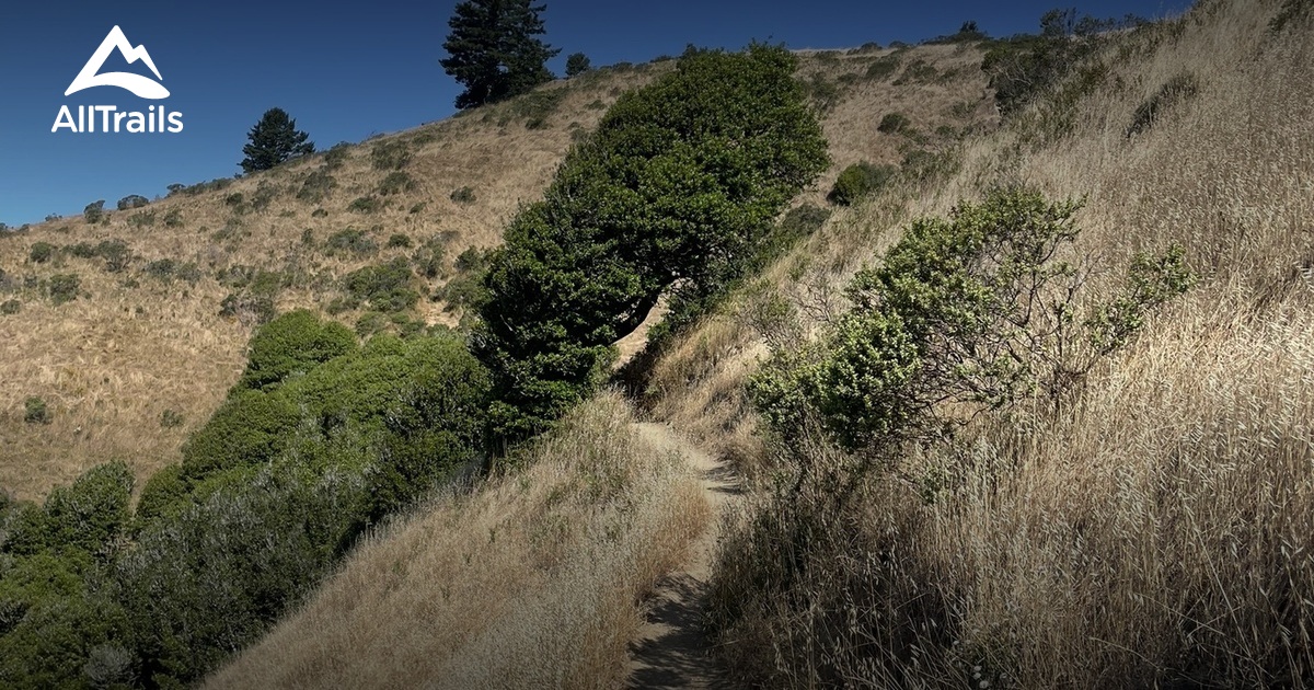 Around SF Trails | List | AllTrails