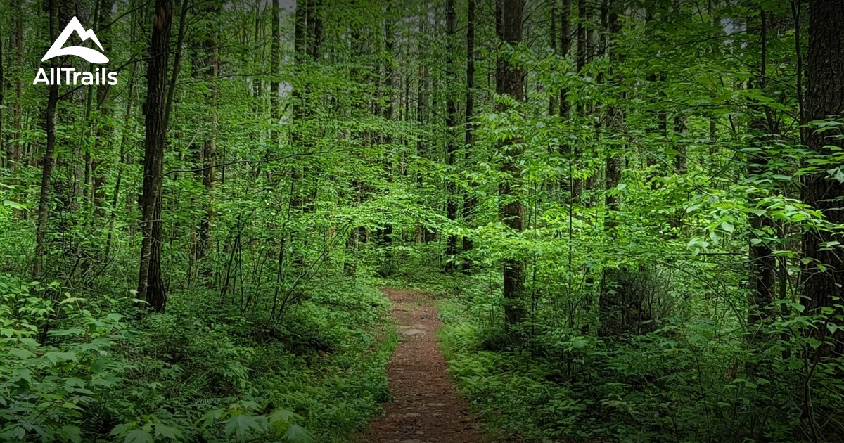 Local short trail | List | AllTrails