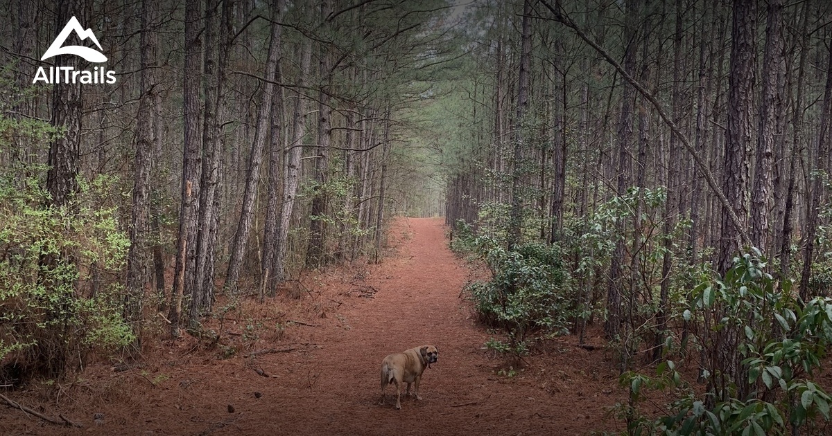 Pocomoke state park | List | AllTrails