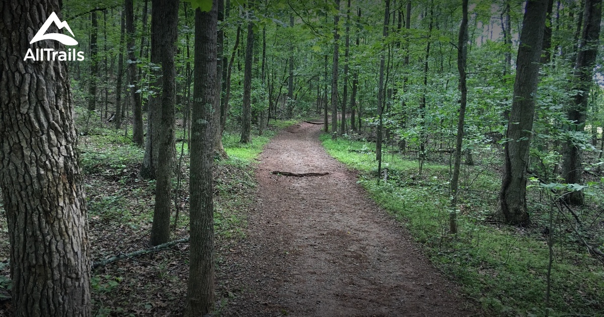 Pathfinders easy | List | AllTrails