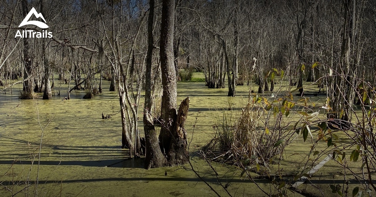 Colleton State Park | List | AllTrails