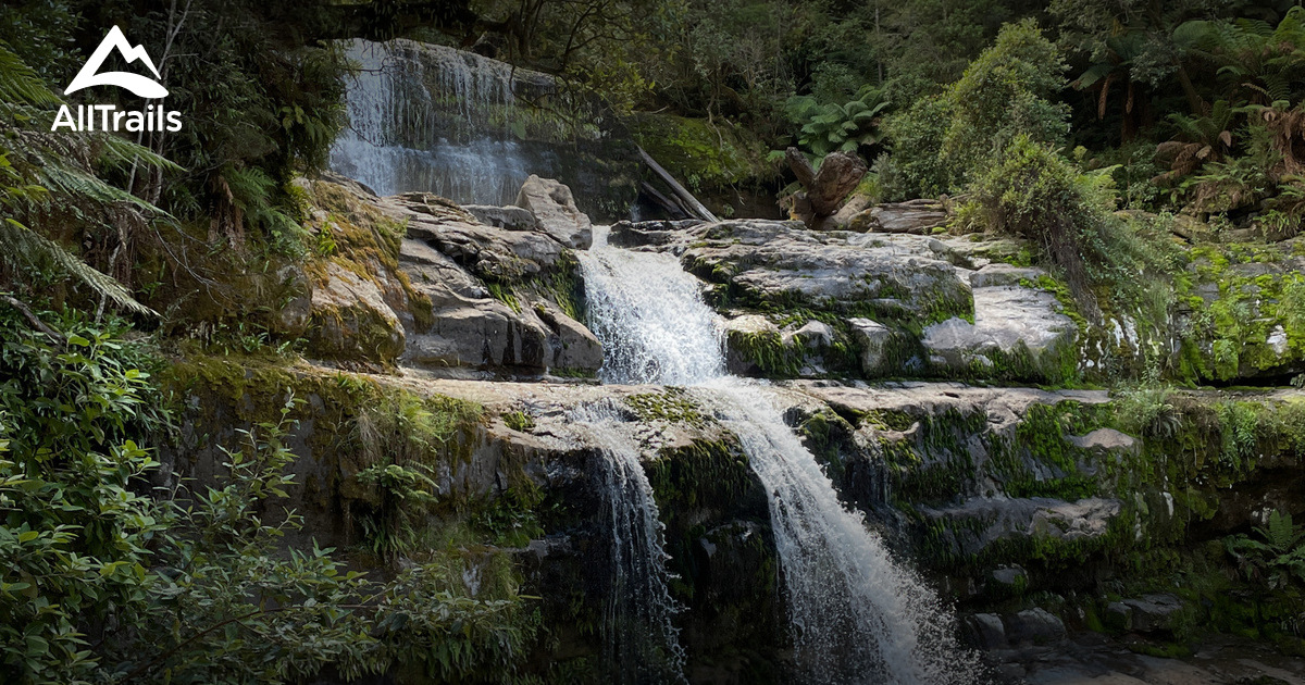 Tassy waterfalls | List | AllTrails