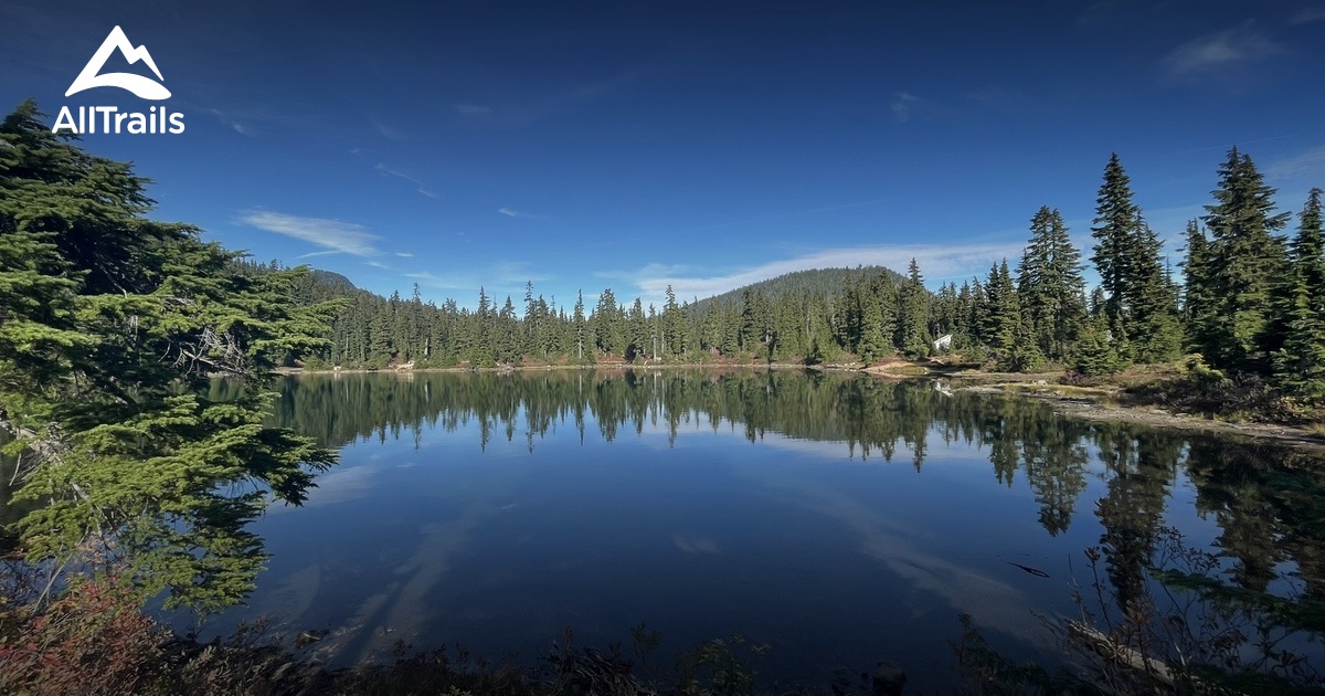 Mt Washington BC | List | AllTrails