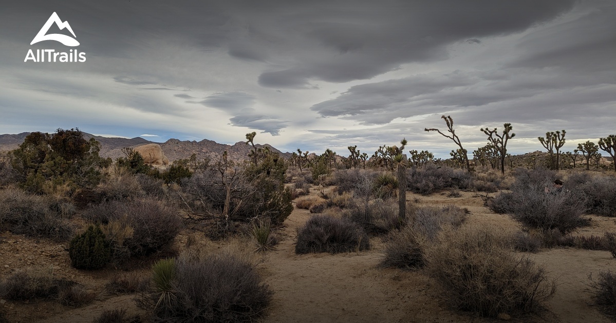 Ugly desert | List | AllTrails