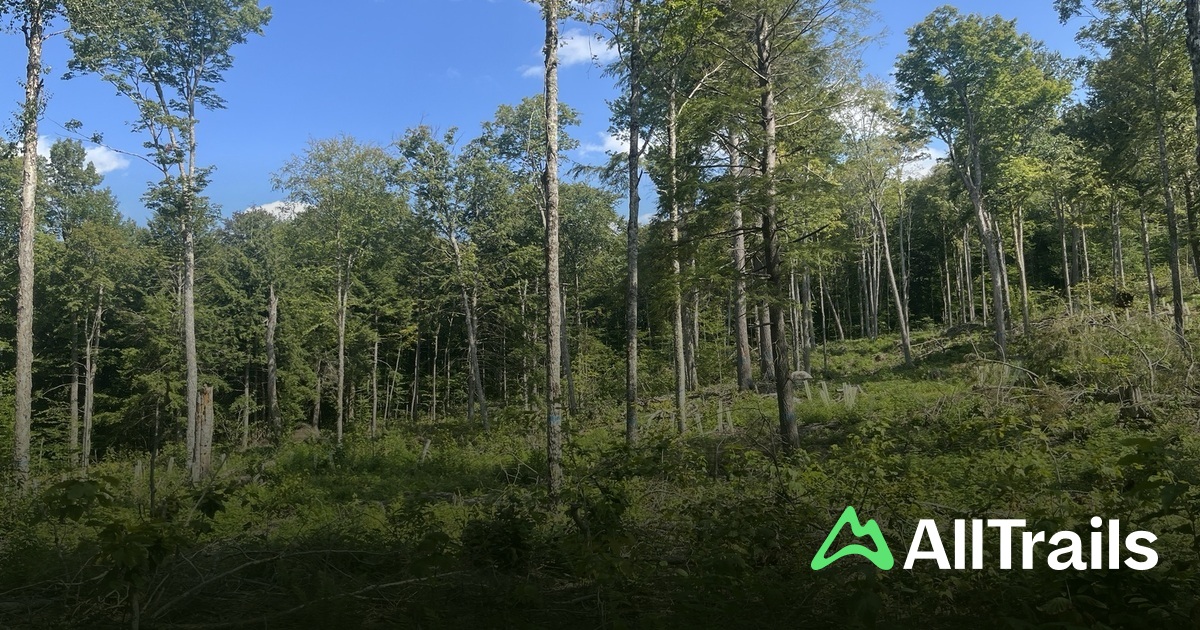 Tupper lake triad | List | AllTrails