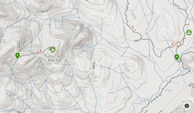 Mushroom trails in Capitol State Forest | List | AllTrails