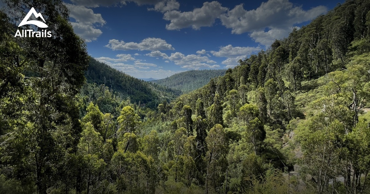 2. Yarra Valley & Dandenong Ranges | List | AllTrails