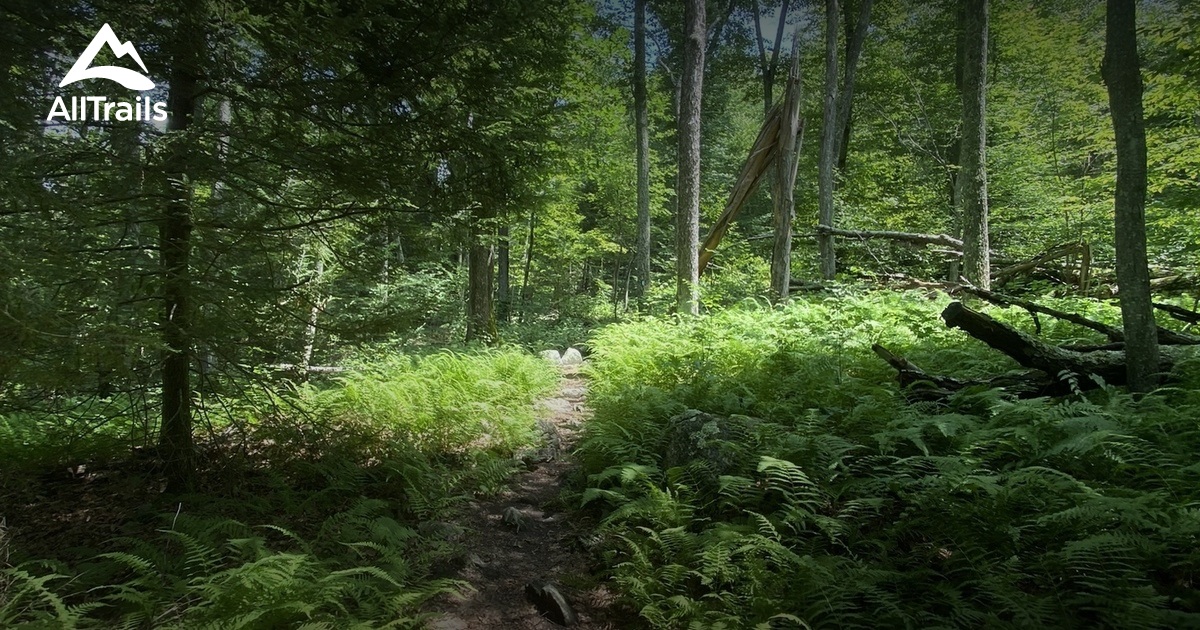 CT Scout | List | AllTrails