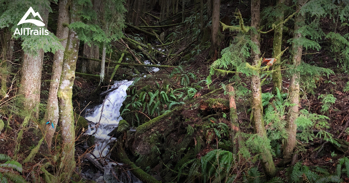 Tree Hunting | List | AllTrails