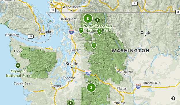 Tree Hunting | List | AllTrails