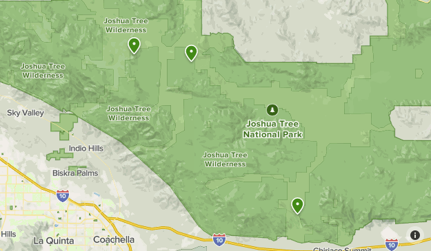 Joshua Tree Hikes to Try | List | AllTrails