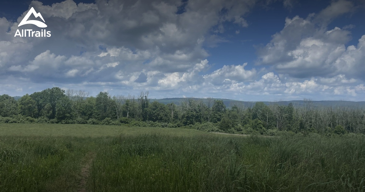 NJ Border Hikes: PA Edition | List | AllTrails