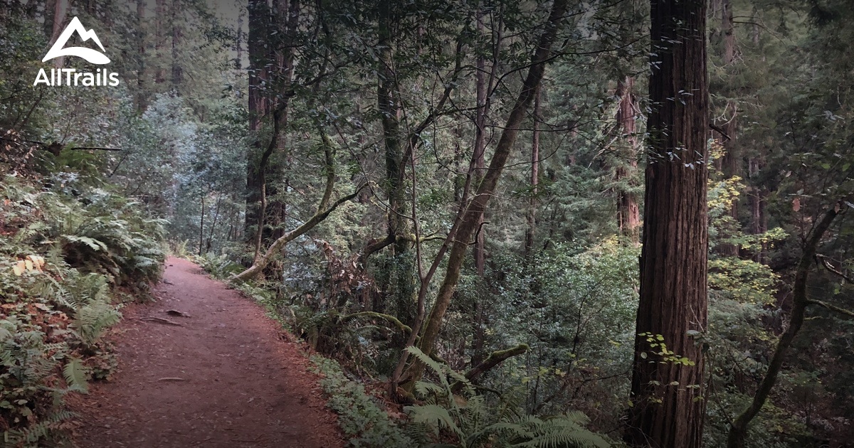 Future Hikes: Marin/Bay Area | List | AllTrails