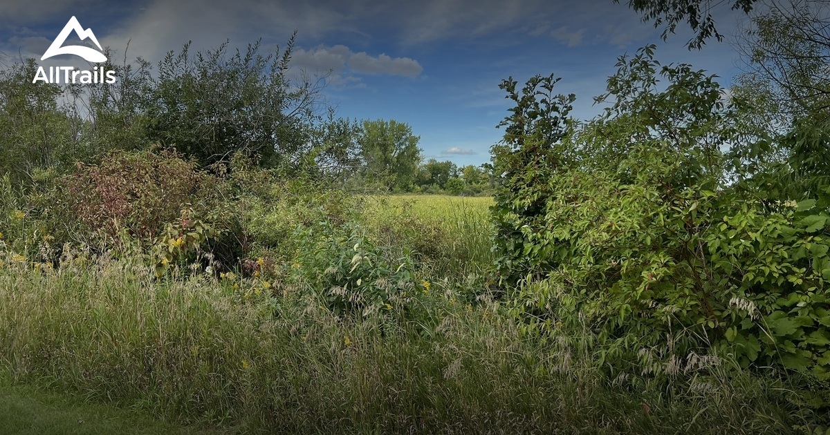 Target Mountain Bike Rides | List | AllTrails