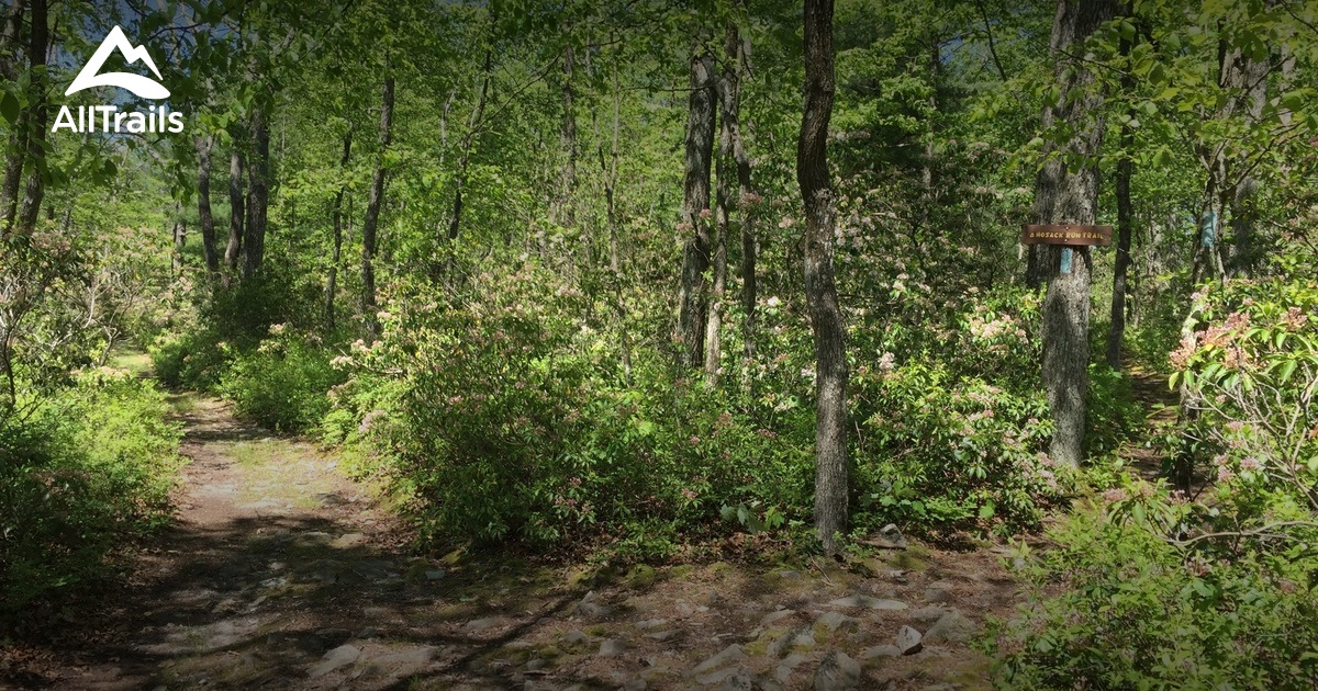 PA- Caledonia State Park | List | AllTrails