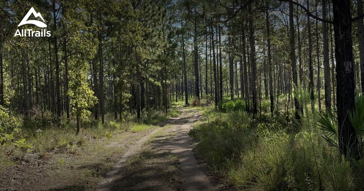 Jennings forest | List | AllTrails