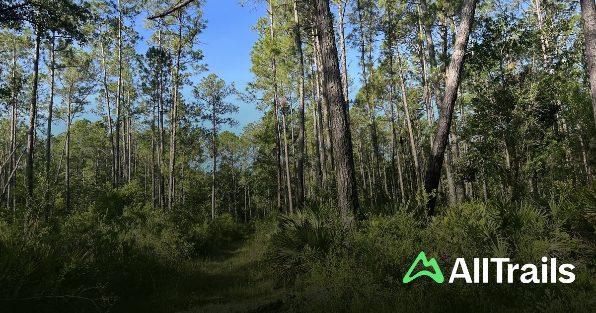 Jennings forest | List | AllTrails